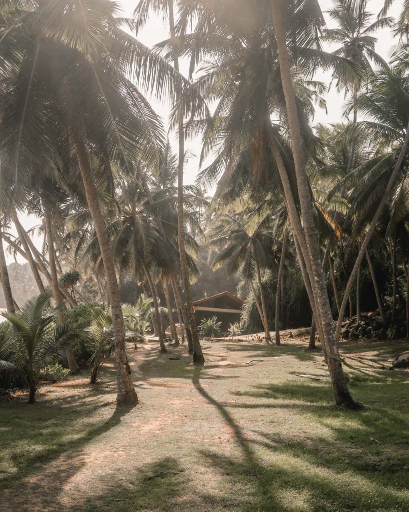 Beautiful Beaches & Bicycle Trips in Tangalle, Sri Lanka - Holetsgo