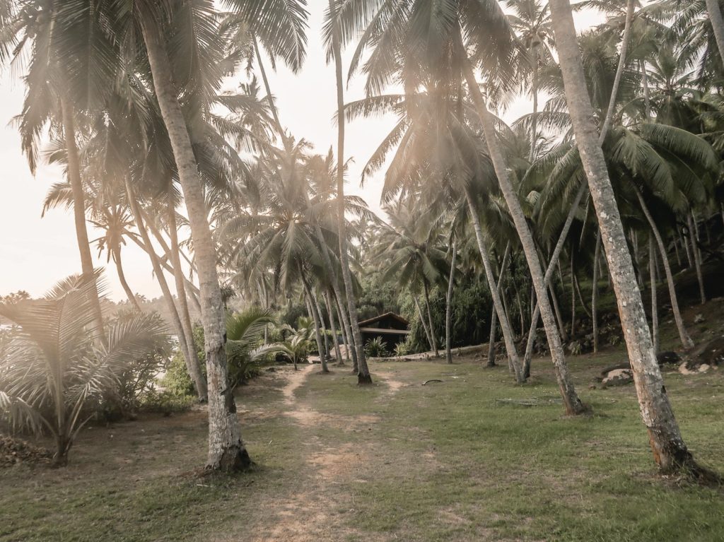 Beautiful Beaches & Bicycle Trips in Tangalle, Sri Lanka - Holetsgo