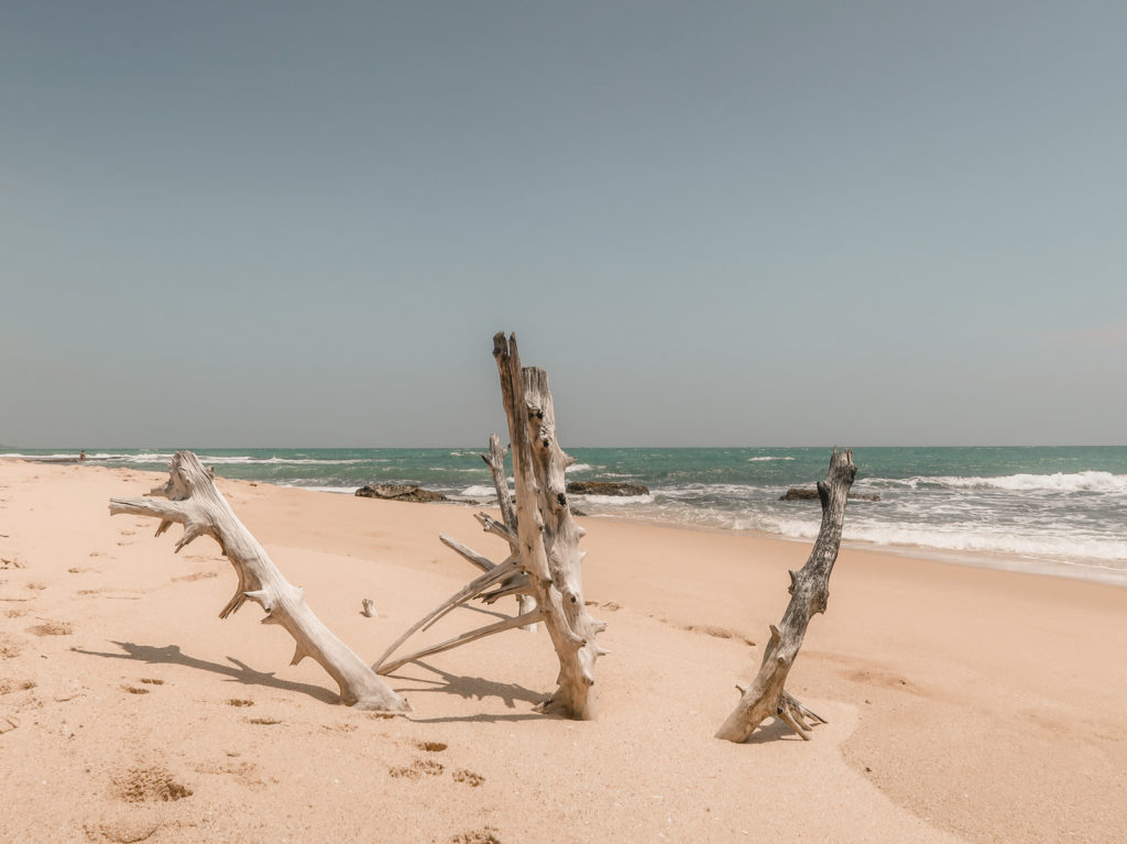 Beautiful Beaches & Bicycle Trips in Tangalle, Sri Lanka - Holetsgo